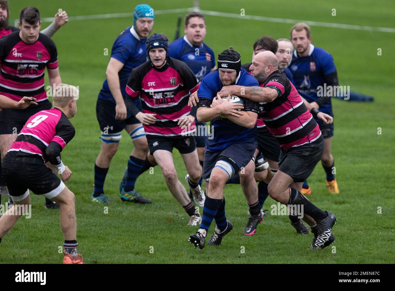 Rugby match, rugby game, rugby player, rugby scrum, rugby tackle, rugby ...