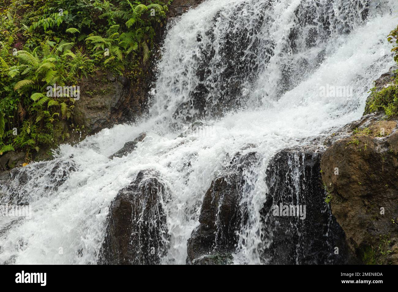 Uma anyar hi-res stock photography and images - Alamy