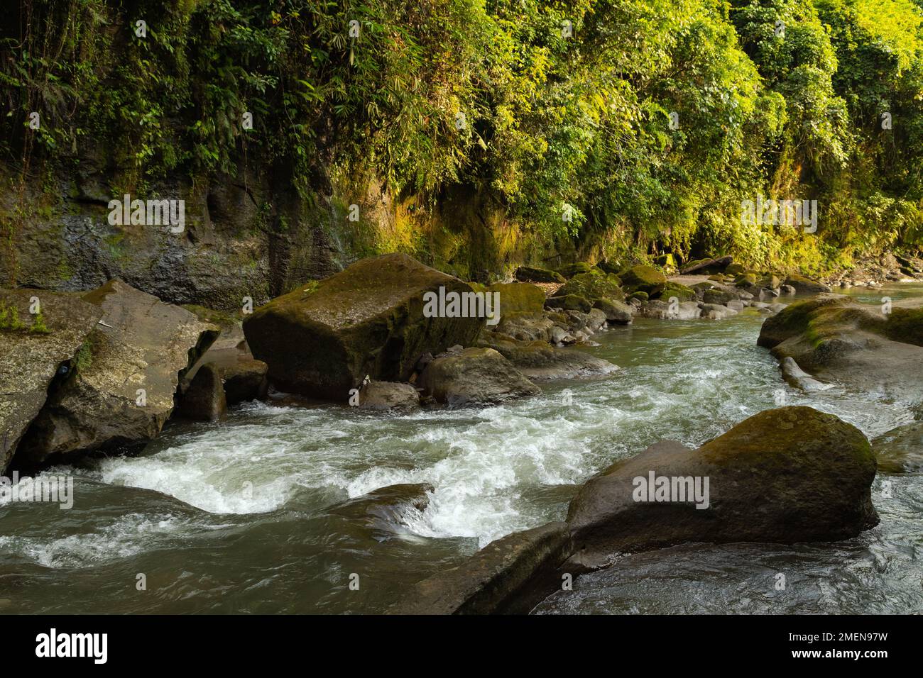 Uma Anyar waterfall, Bali island, Ubud, Indonesia. Jungle, tropical ...