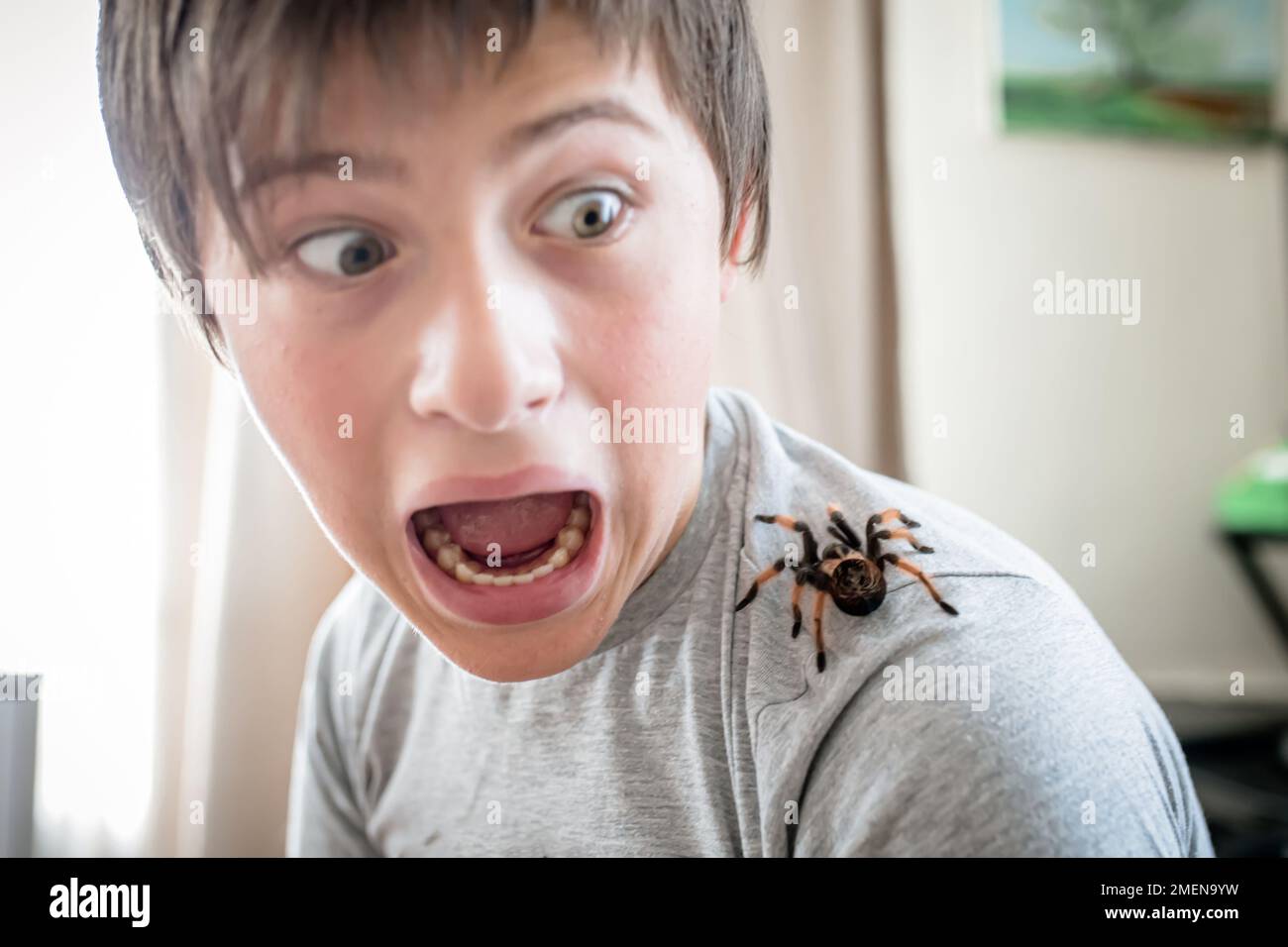 The boy screams in horror when he sees a huge spider crawling on the ...