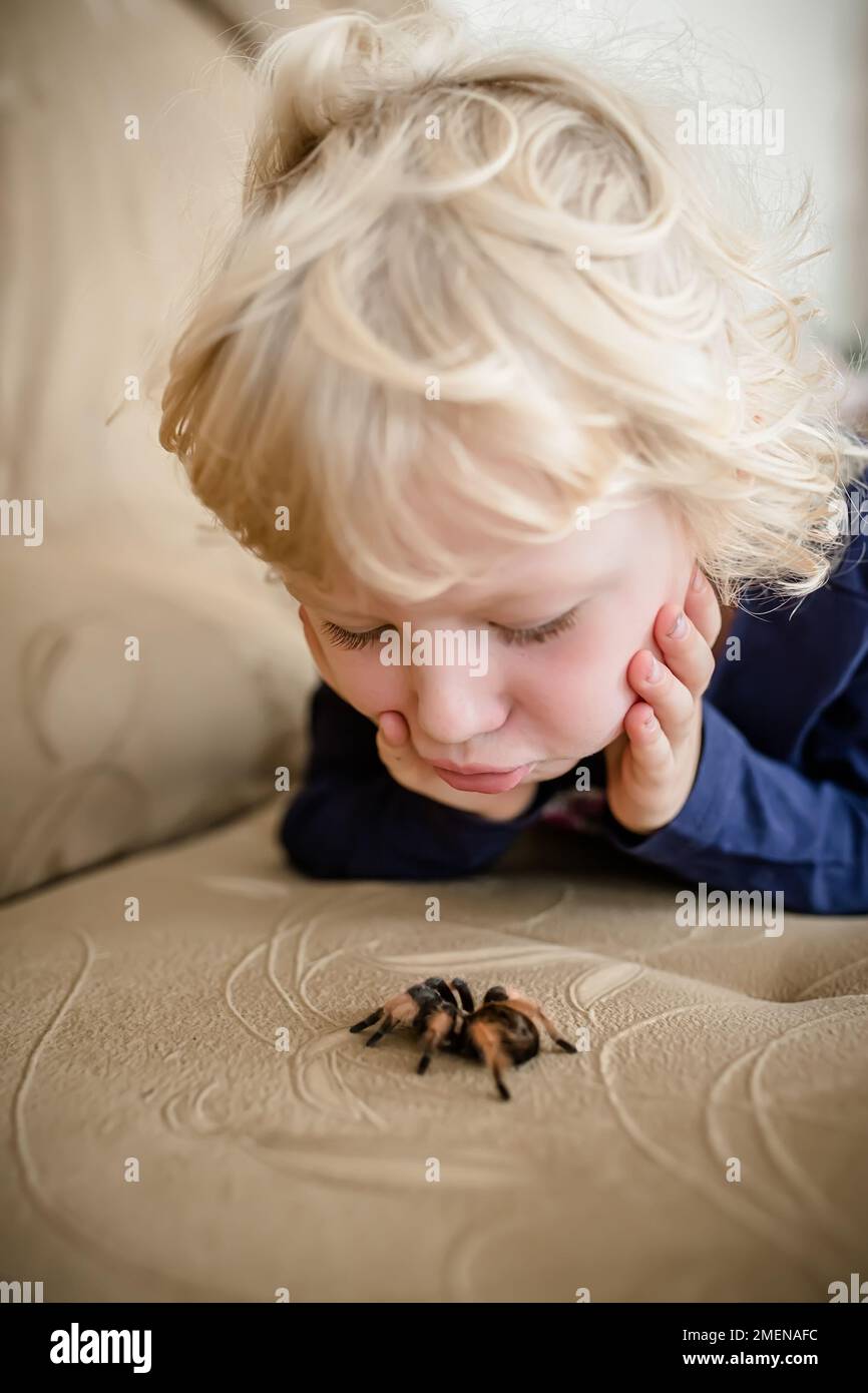 The baby studies a huge spider crawling on the couch. A child plays ...