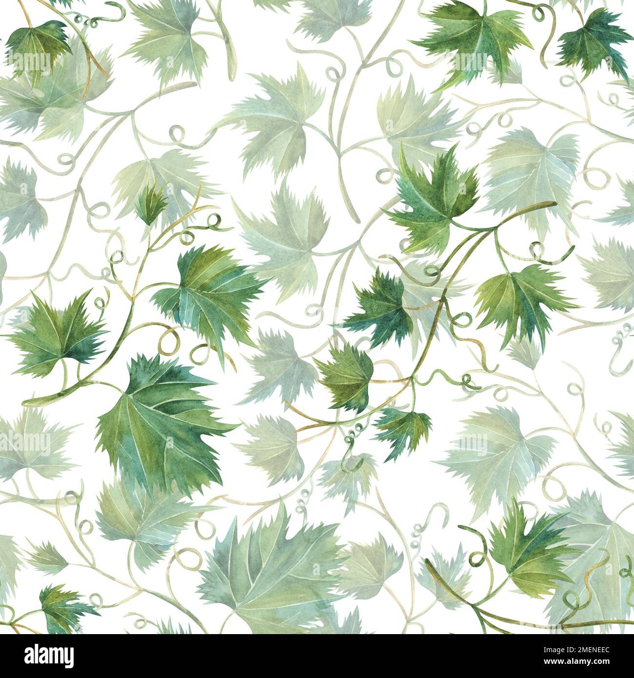 seamless pattern with watercolor grape leaves HAND DRAWN Stock Photo ...