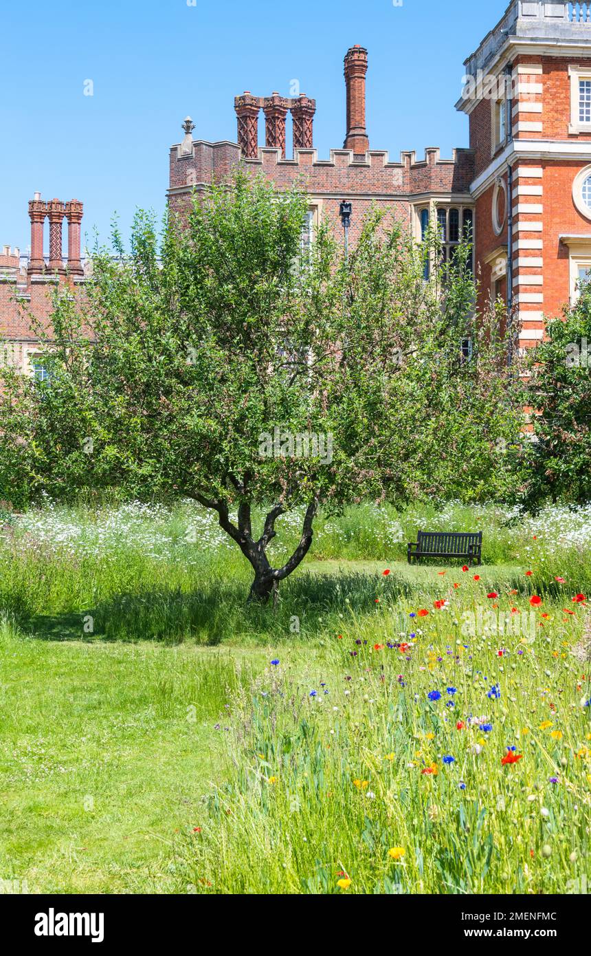A meadow in the Hampton Court Palace gardens, London, England Stock ...