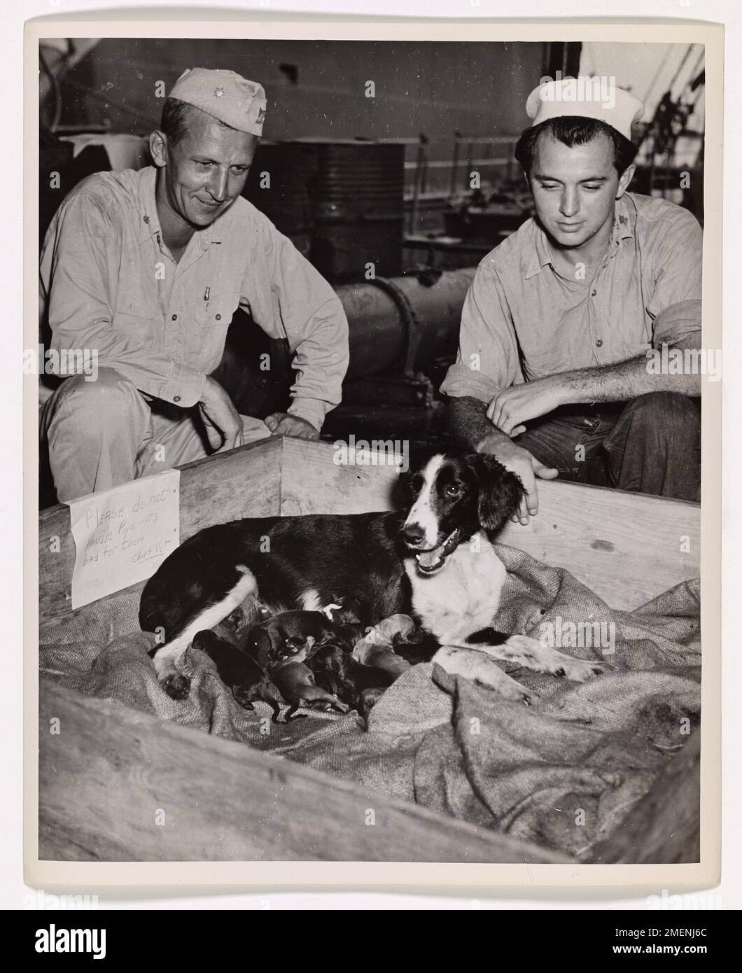 Coast Guard Commander Benjamin F. La and crew members admire a dog and ...