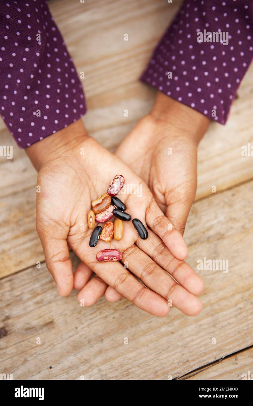 girl holding beans in palm of her hands Stock Photo - Alamy