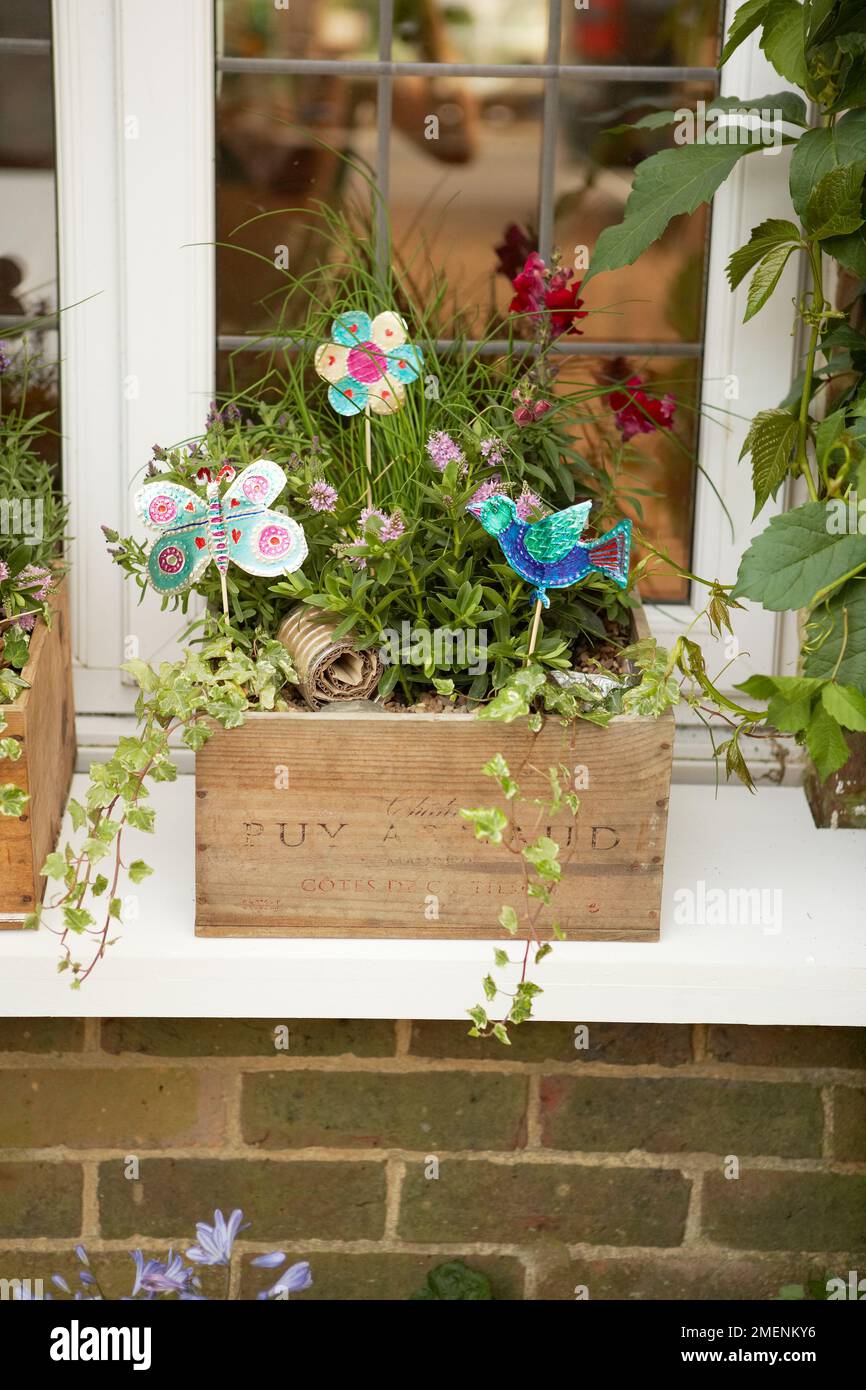 single wildlife windowbox showing labels Stock Photo - Alamy