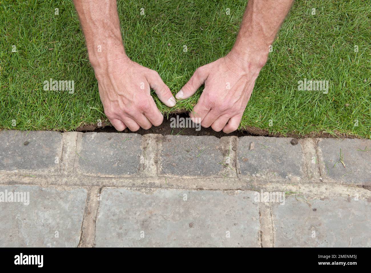 Garden path with grass edge hi-res stock photography and images - Alamy