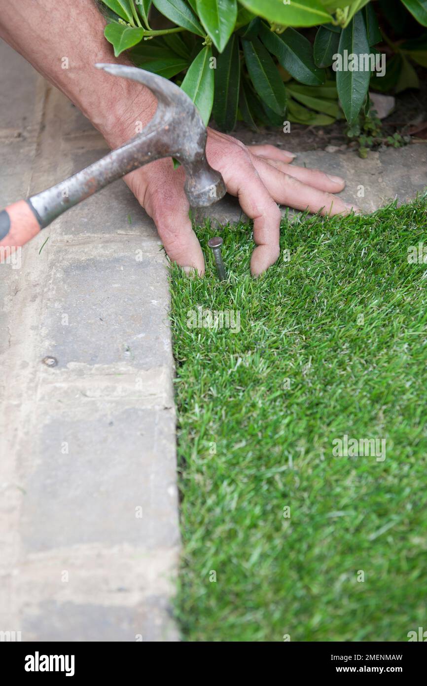 Nailing a sheet of artificial turf in place in one corner Stock Photo ...