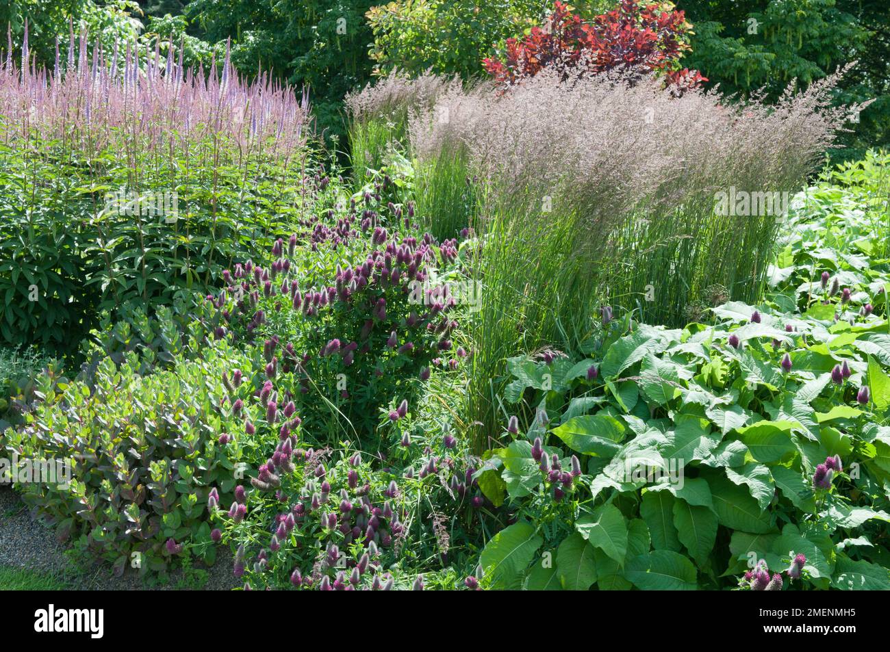 Meadow style garden hi-res stock photography and images - Alamy