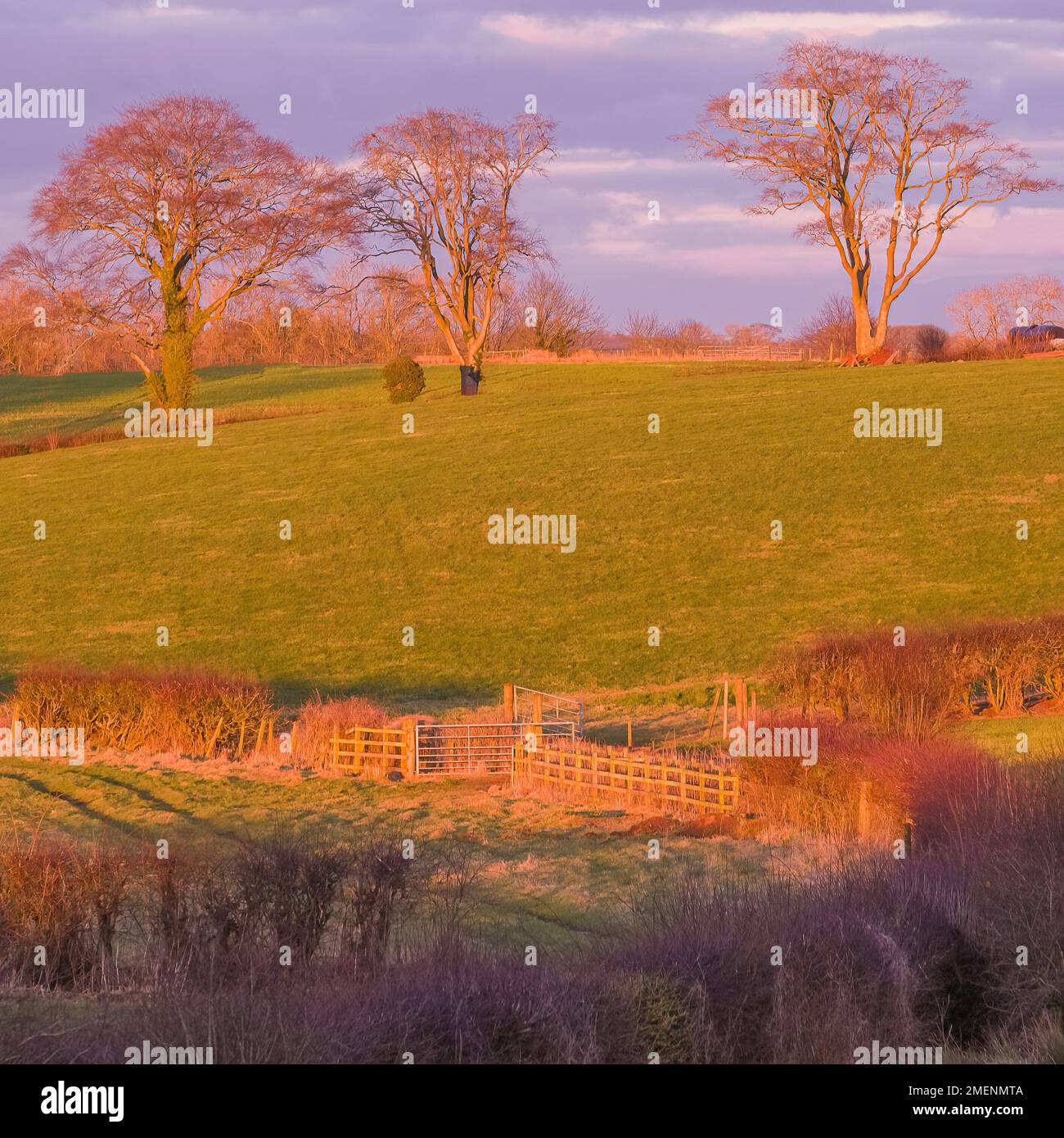 Beautiful Scottish Farmlands with farming fields at the heart of Burns ...