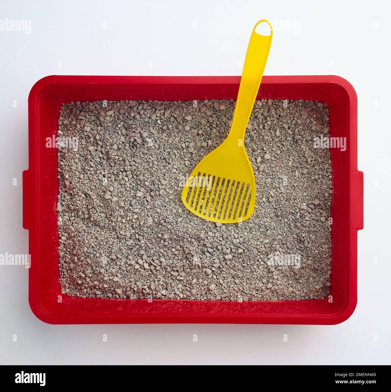 Litter tray hi-res stock photography and images - Alamy