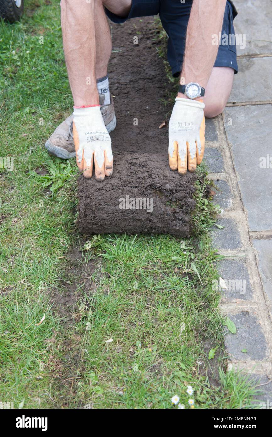 Person kneeling, rolling up a strip of turf by a garden path Stock ...