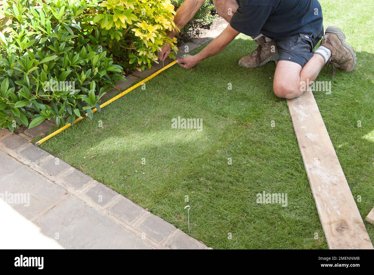 Using a tape measure to measure out the shape for a new lawn design ...