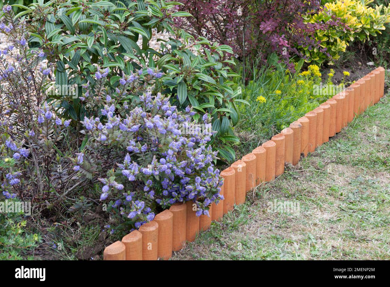 Wooden border between plants and lawn area in garden Stock Photo - Alamy