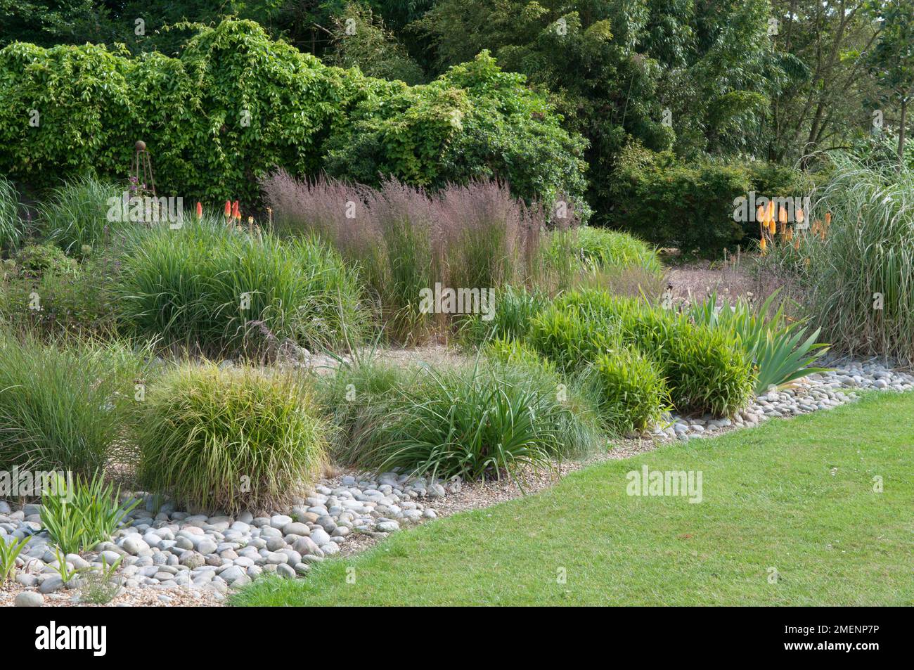 Ornamental grasses border grasses hi-res stock photography and images ...