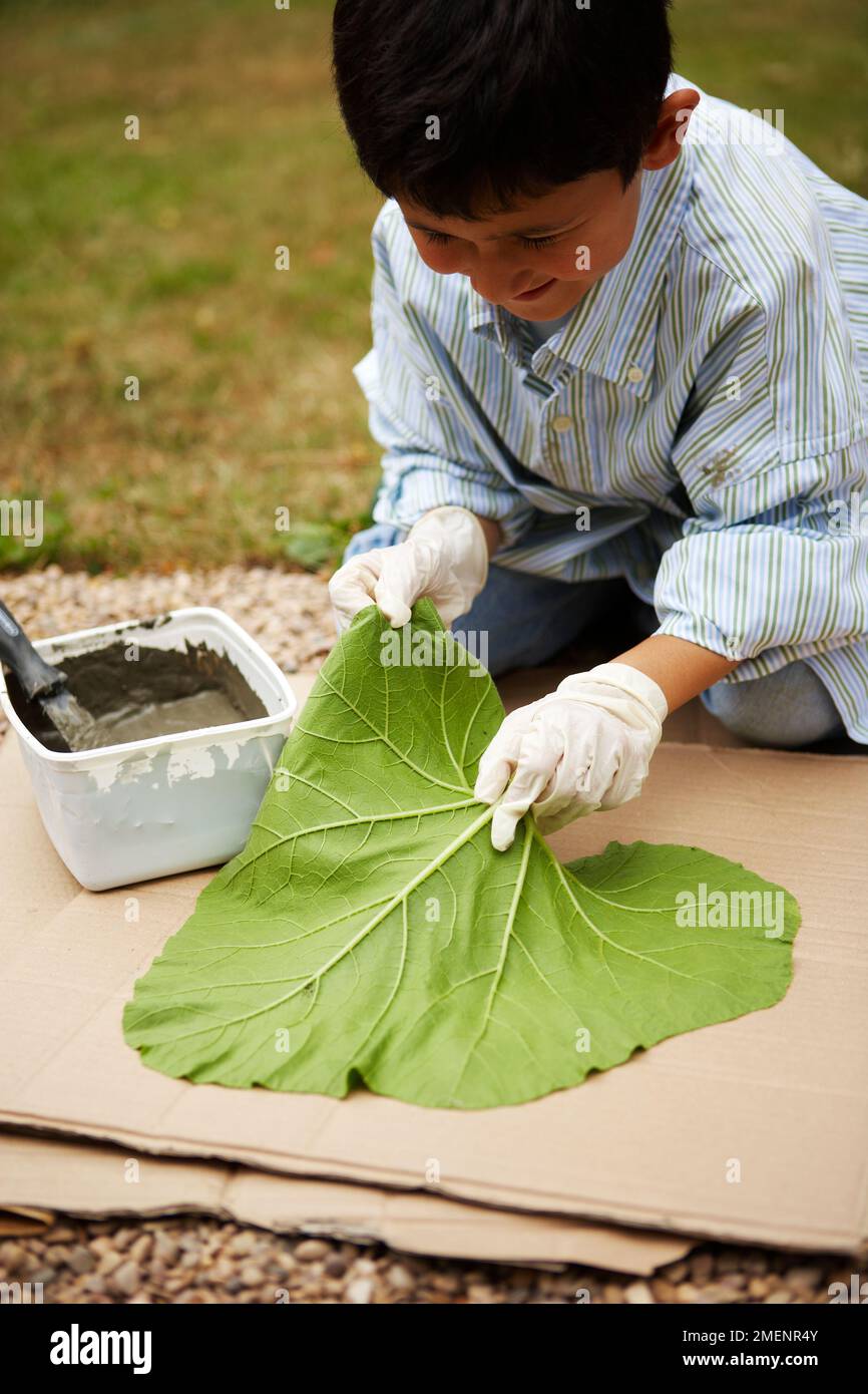 placing leaf on cardboard Stock Photo - Alamy