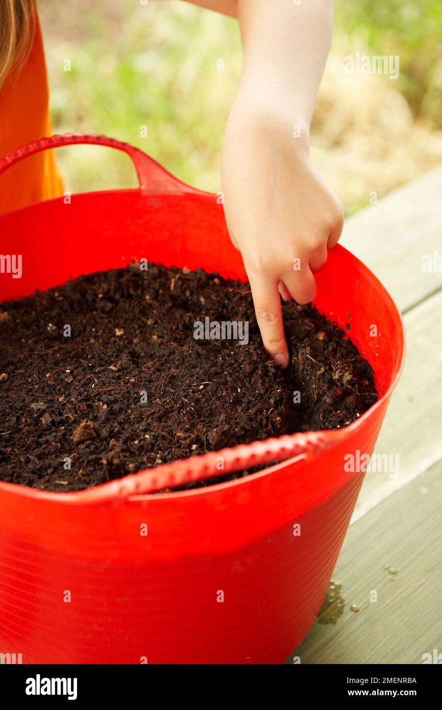 Poppy in hand hi-res stock photography and images - Alamy