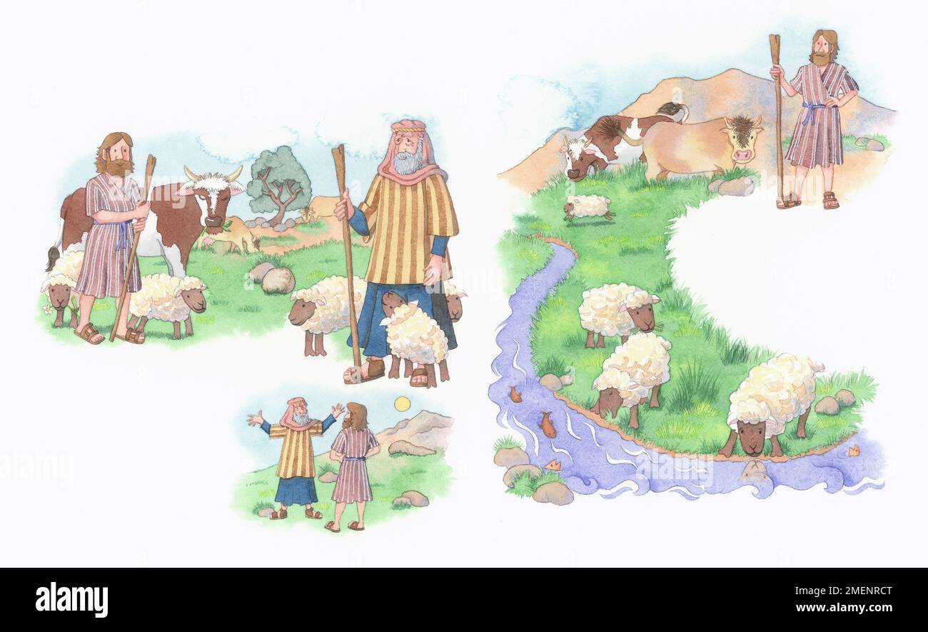 Shepherd and farmer grazing their sheep and cows Stock Photo - Alamy