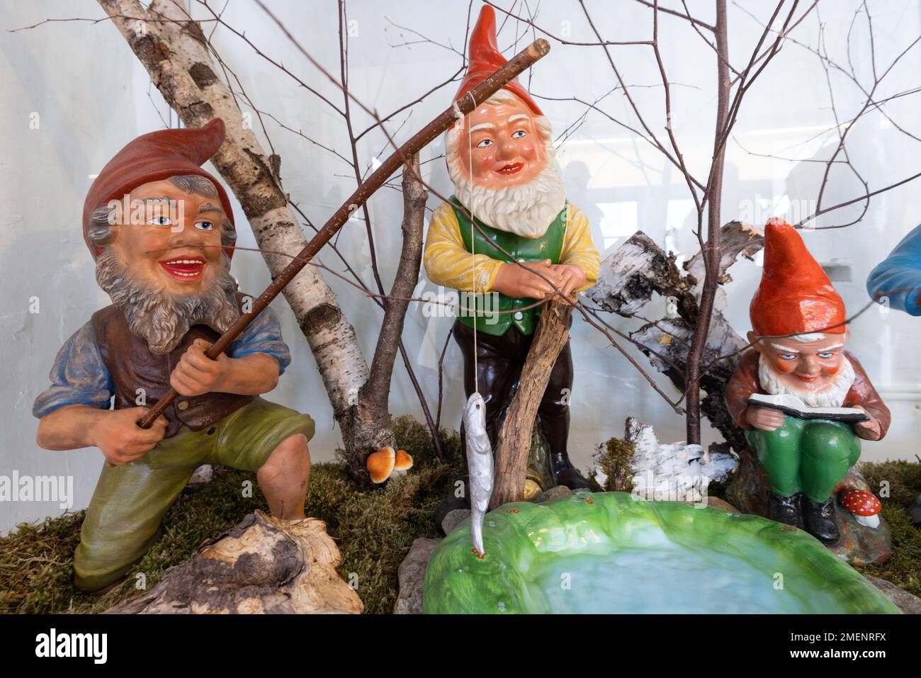 Geratal, Germany. 24th Jan, 2023. Garden gnomes stand at the Zwergstatt ...