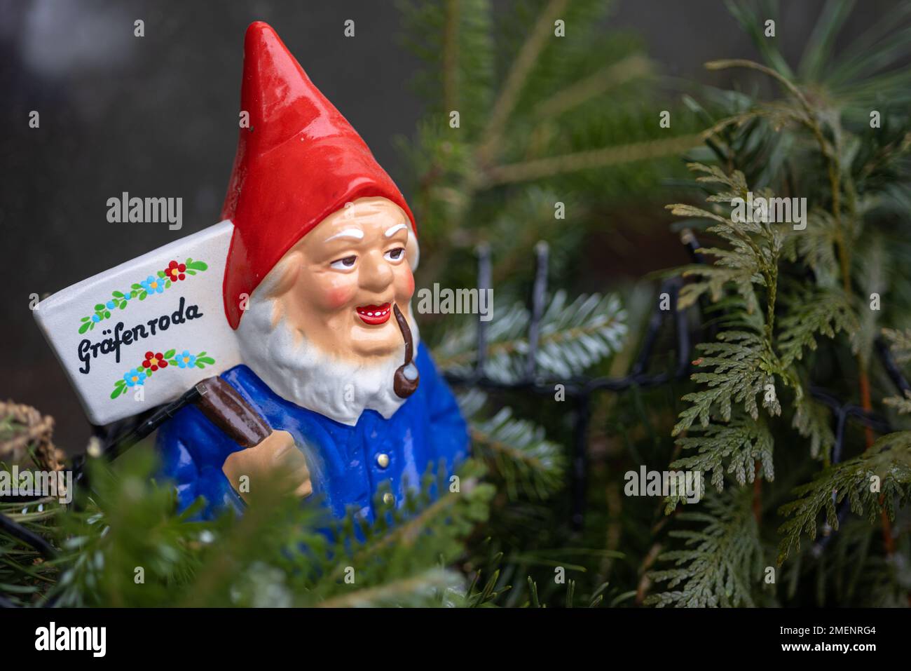 Geratal, Germany. 24th Jan, 2023. A garden gnome stands at the ...