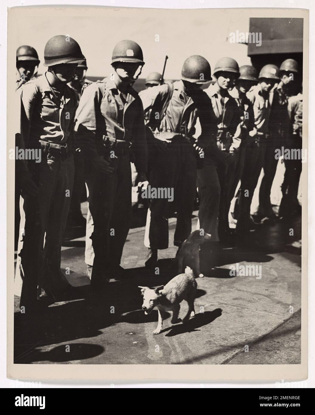 This image shows a group of Marines on the deck of a Coast Guard-manned ...