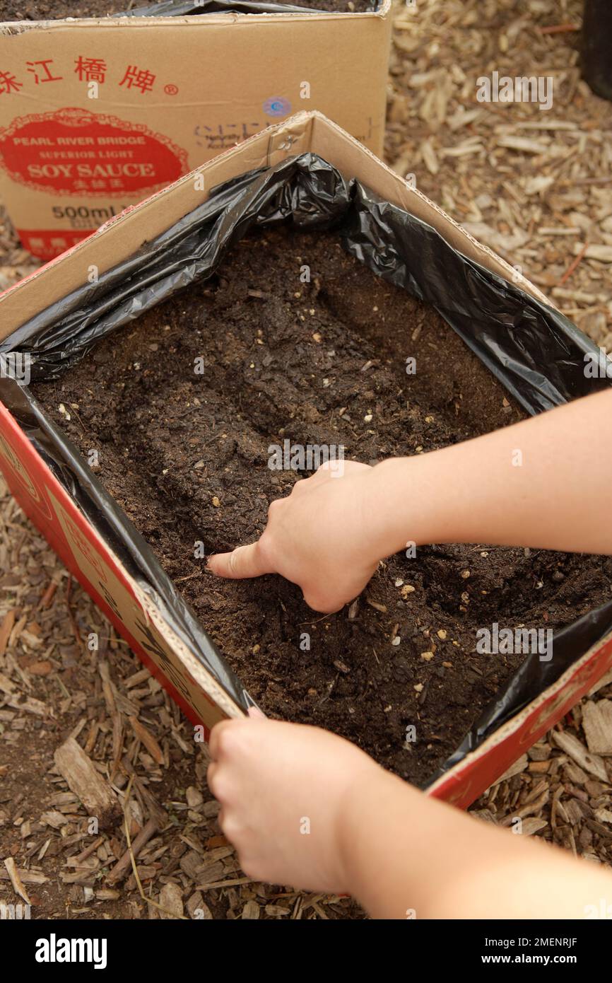 Pressing soil seeds hi-res stock photography and images - Alamy