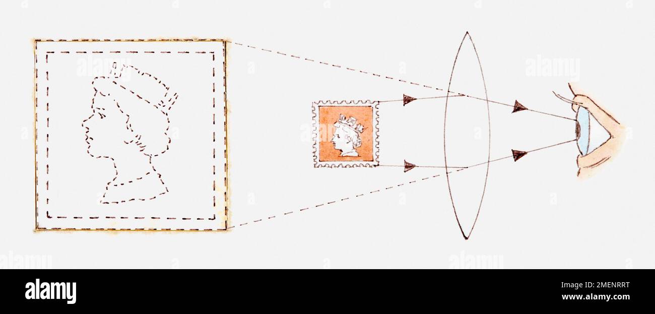 Illustration of vision of the human eye Stock Photo - Alamy