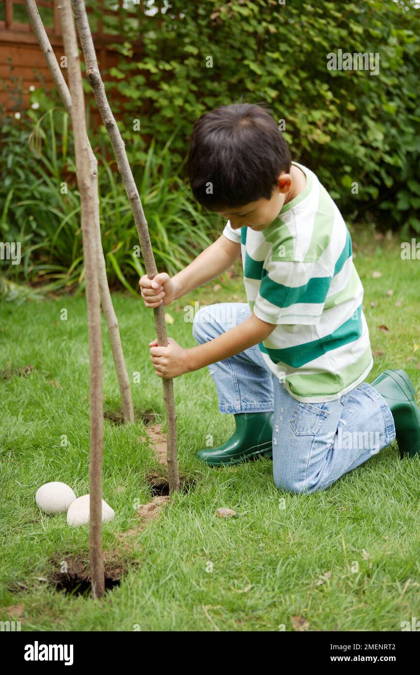 boy placing stick into ground Stock Photo - Alamy