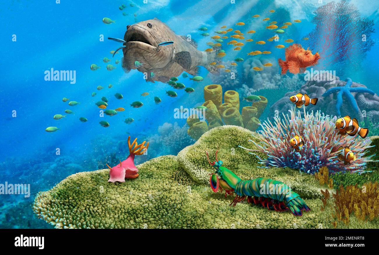 Digital illustration of underwater scene Stock Photo - Alamy