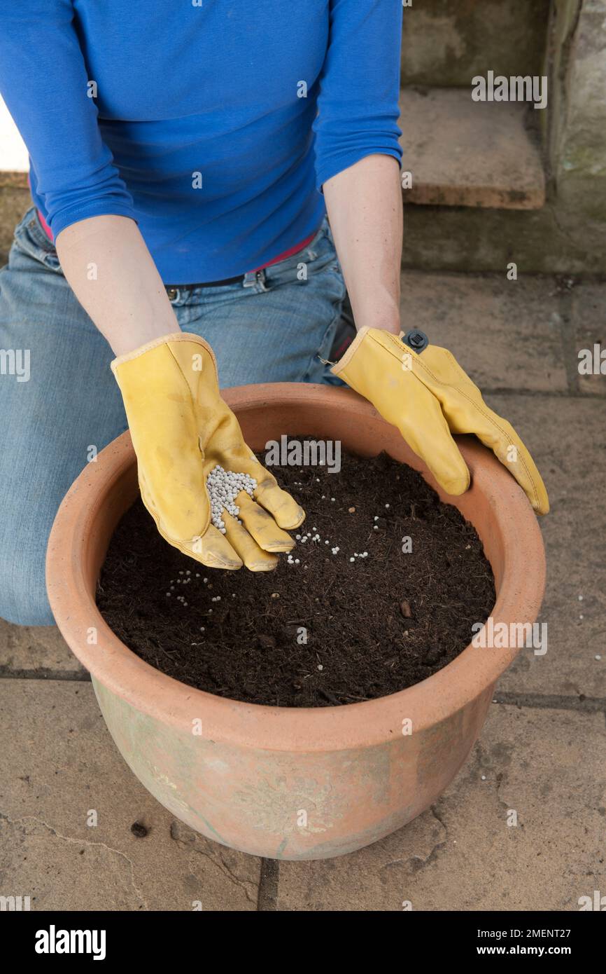 Applying fertiliser garden hi-res stock photography and images - Alamy