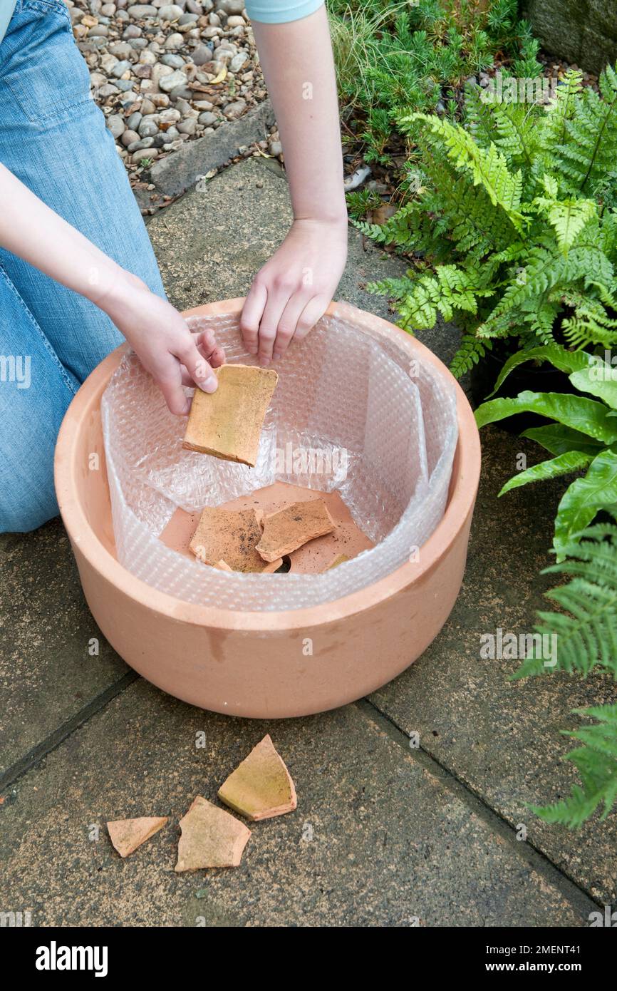 Planting a terracotta pot with mixed ferns ? Tip. Line pot with bubble ...