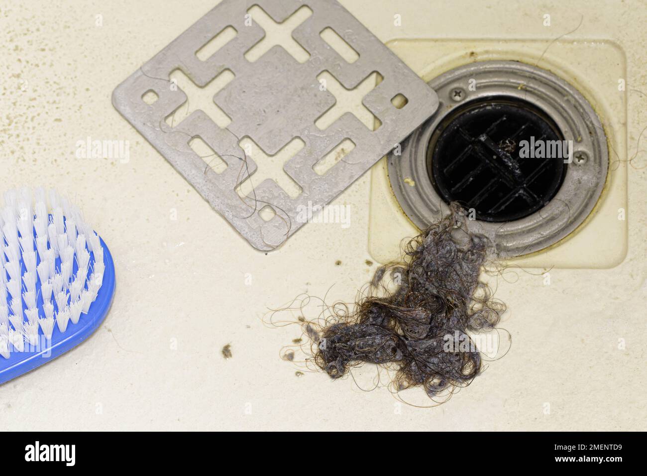 Feces stain removal hi-res stock photography and images - Alamy