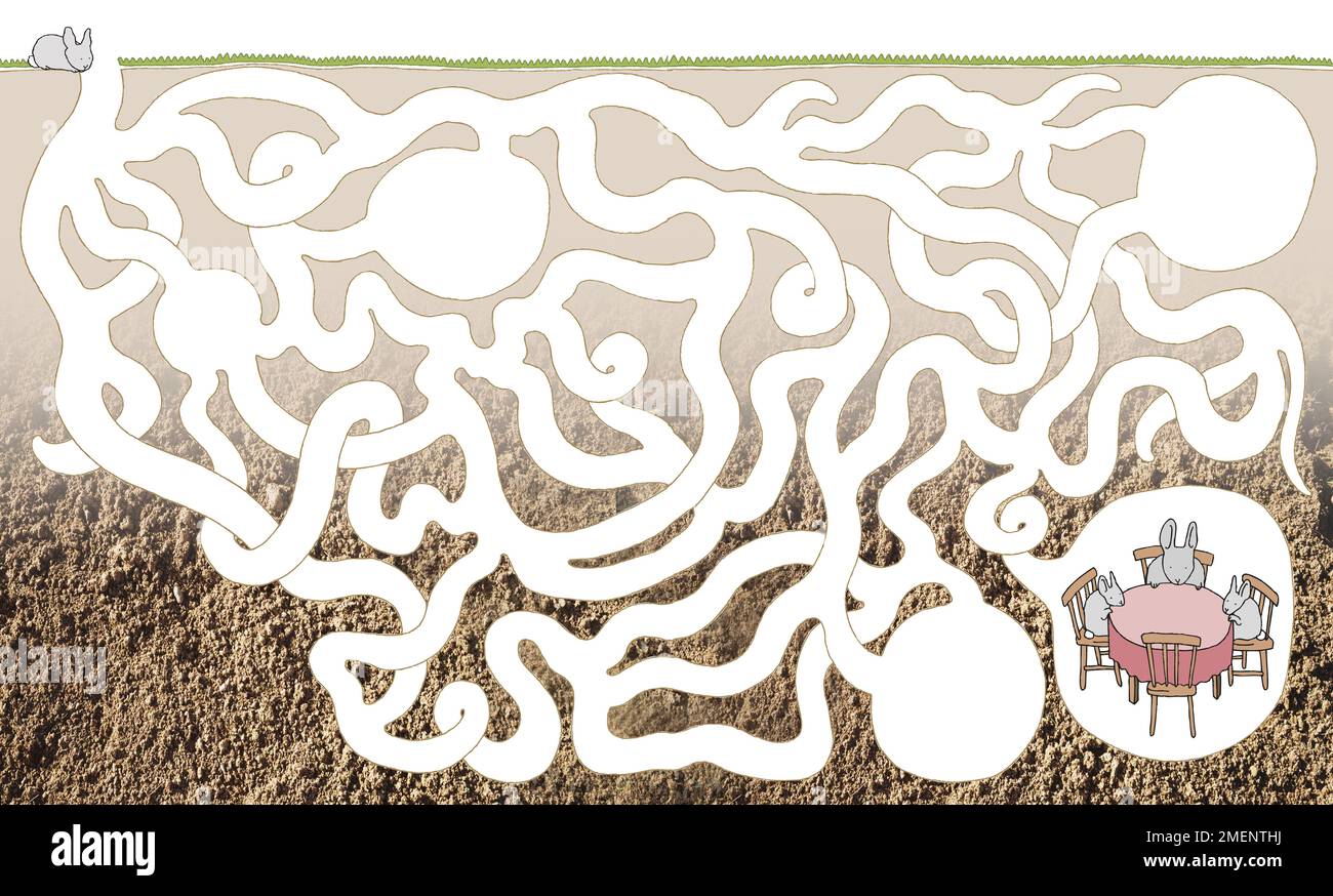 Rabbit in burrow illustration hi-res stock photography and images - Alamy