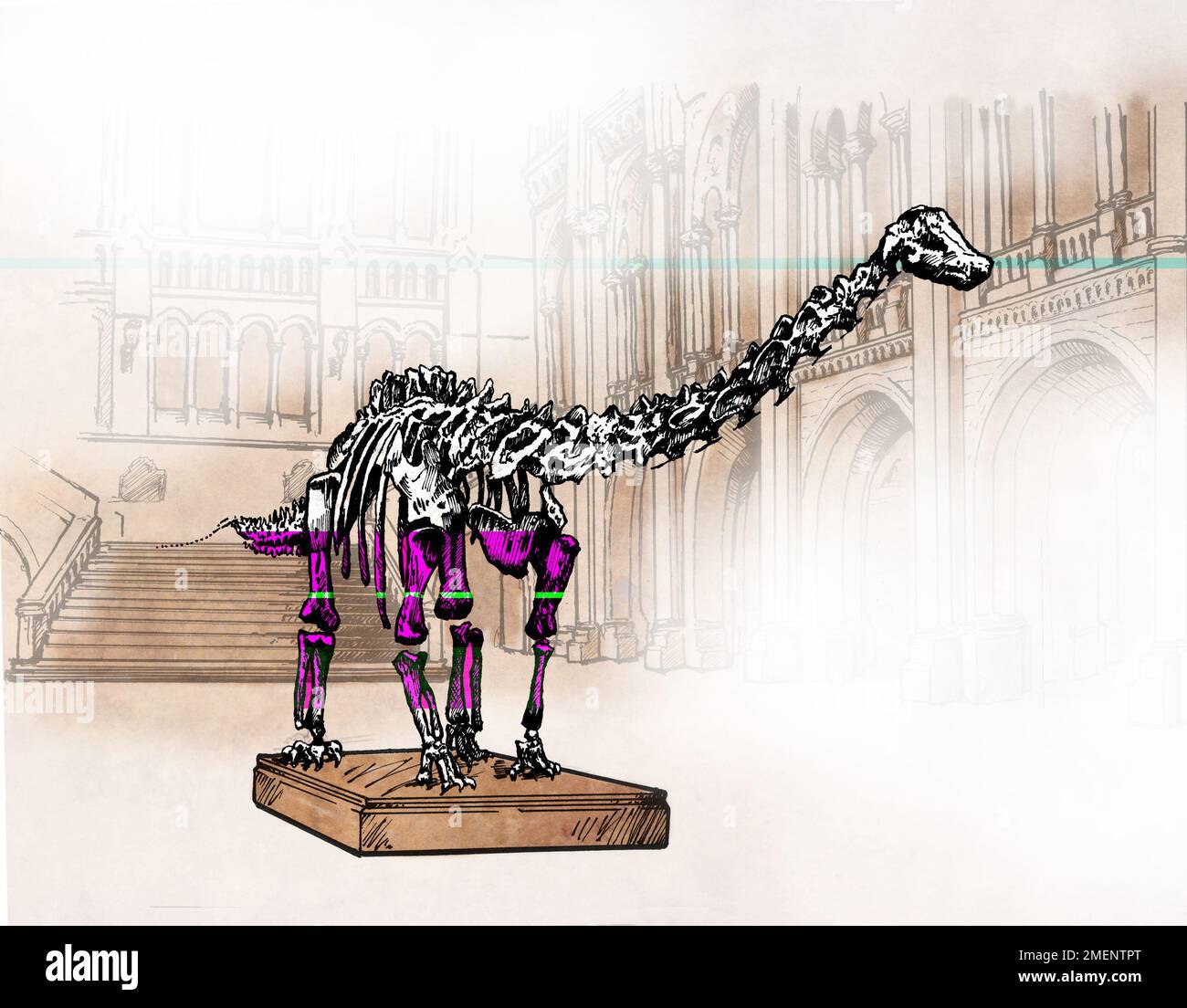 Diplodocid sauropod dinosaur hi-res stock photography and images - Alamy