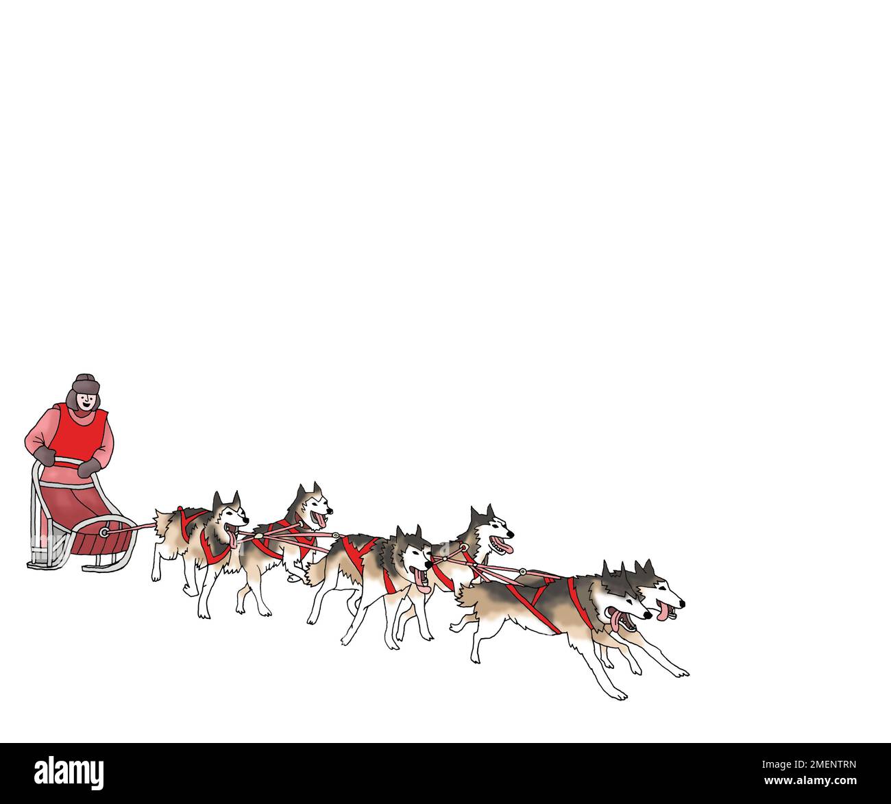 Illustration of huskies pulling sled Stock Photo - Alamy