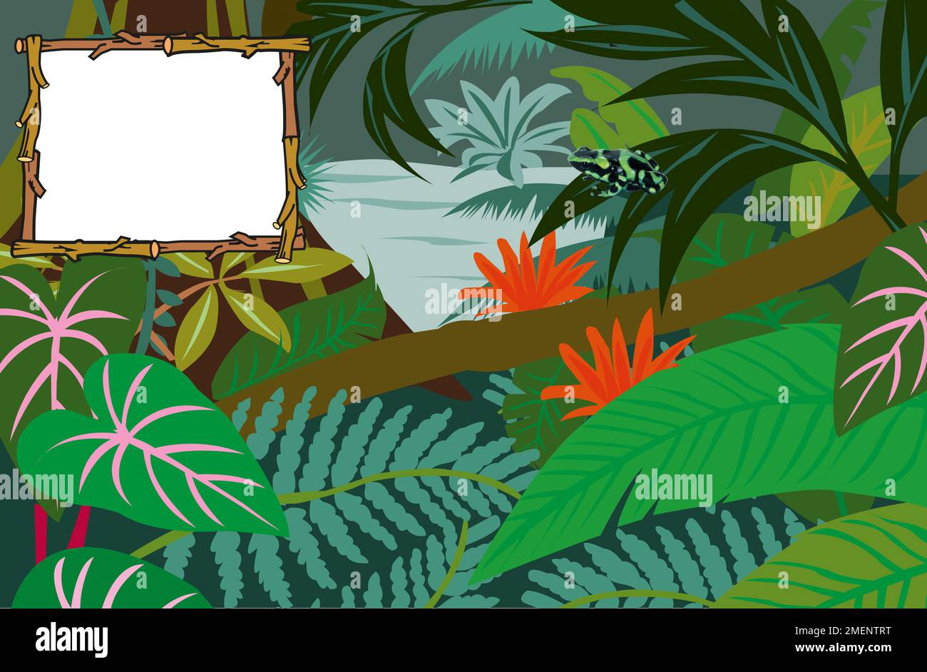 Jungle frame hi-res stock photography and images - Alamy