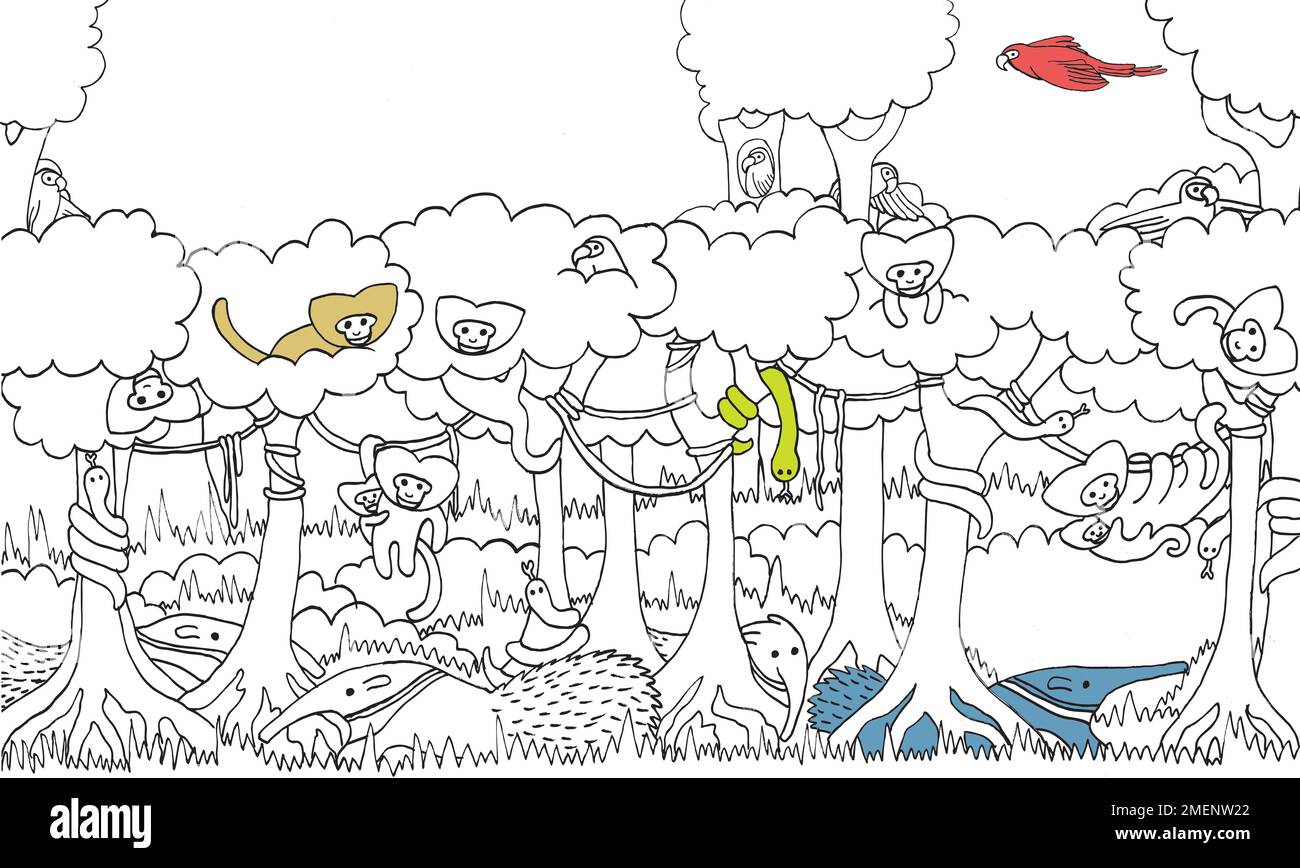 Rainforest animal illustration hi-res stock photography and images - Alamy