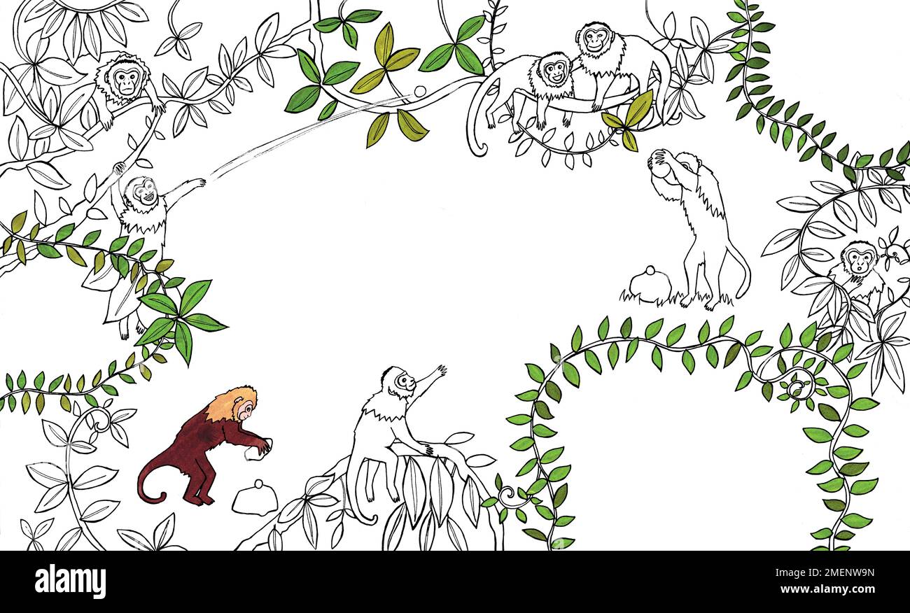 Monkey breaking hi-res stock photography and images - Alamy