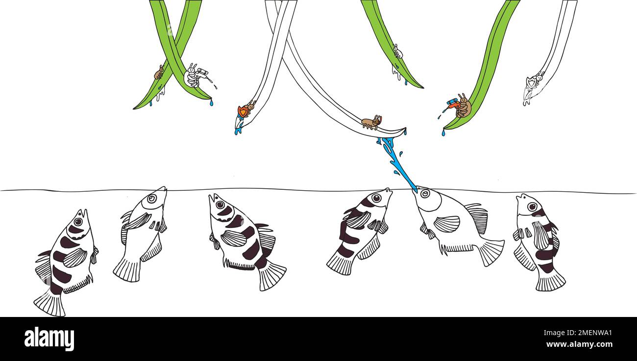 Archerfish insect hi-res stock photography and images - Alamy