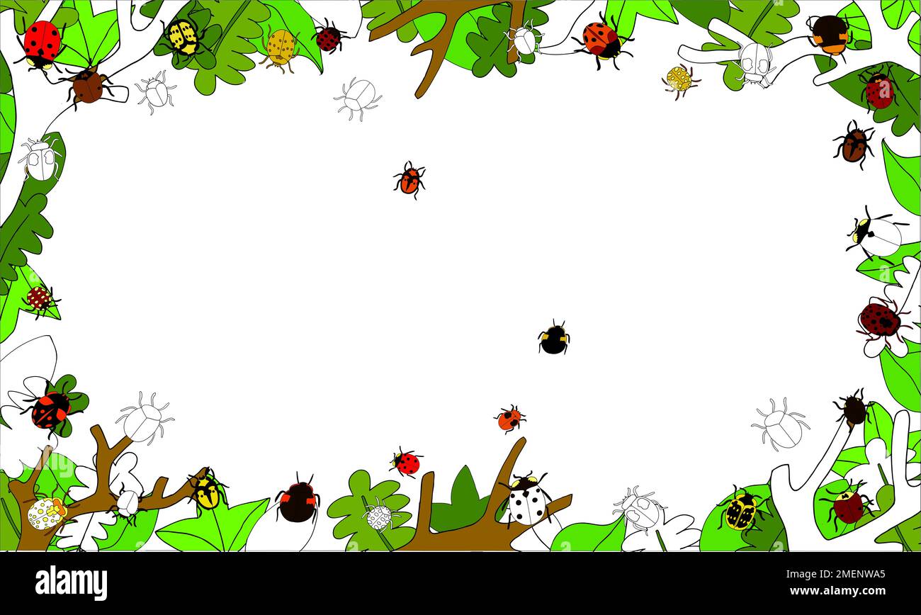 Ladybirds in group hi-res stock photography and images - Alamy