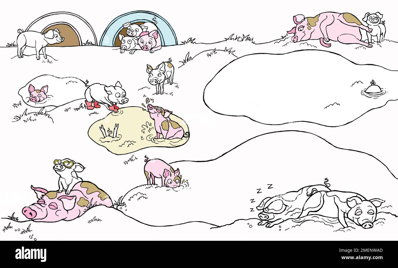 Piglets pigs Cut Out Stock Images & Pictures - Alamy