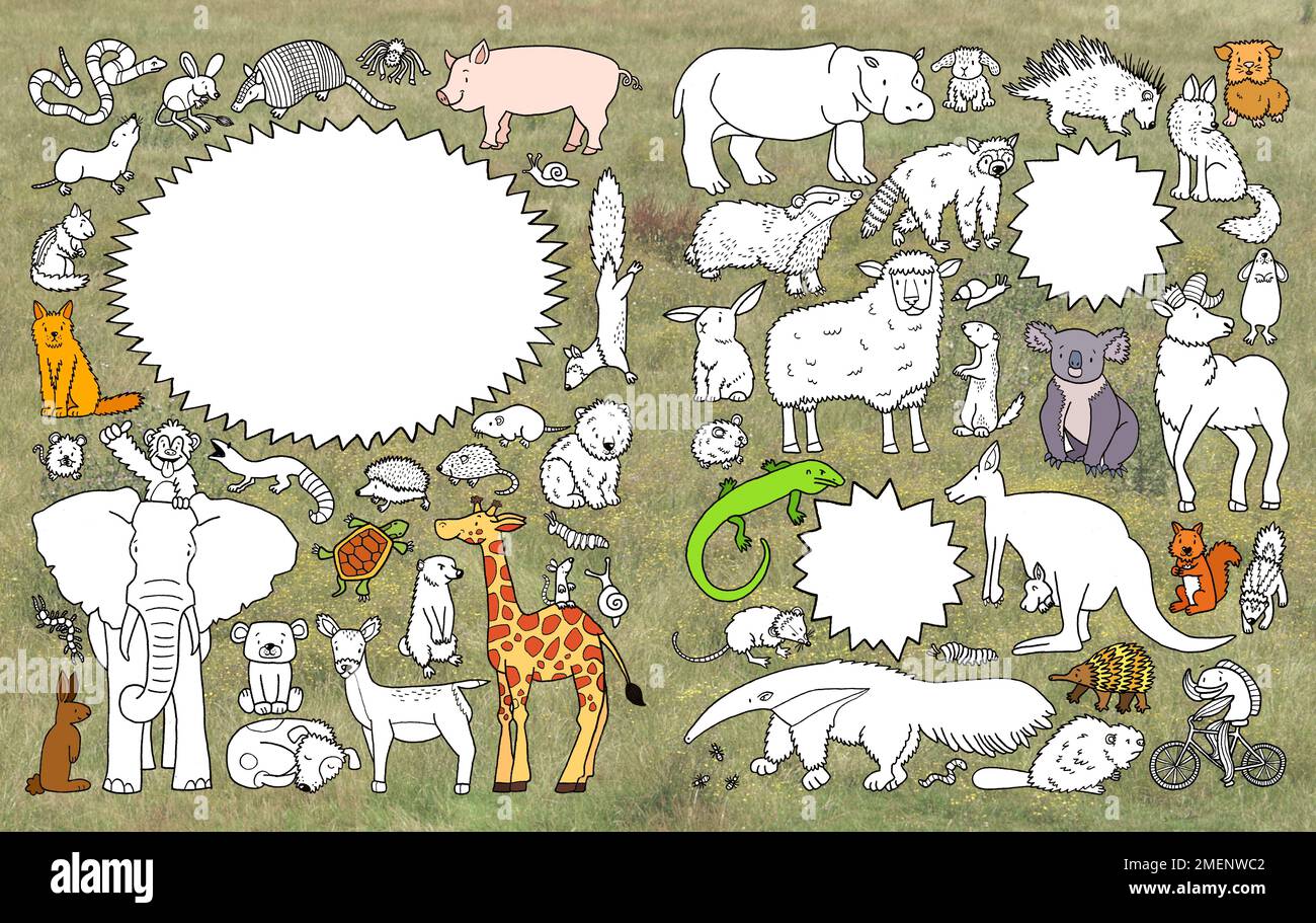 Terrestrial creatures hi-res stock photography and images - Alamy