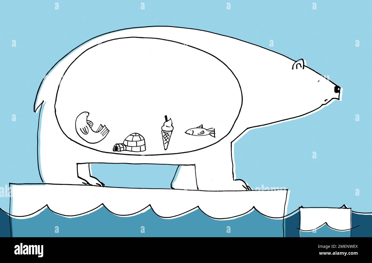 Inside stomach of polar bear Stock Photo - Alamy