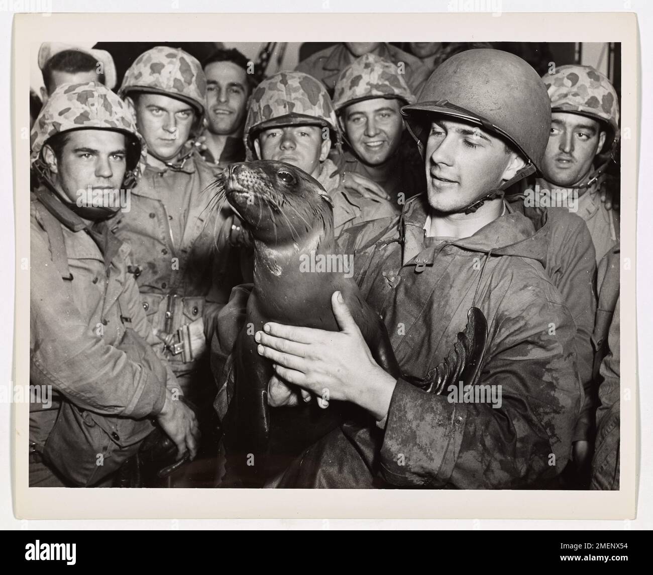 A seal named ‘Happy’ is rescued by the crew of a Coast Guard-manned ...