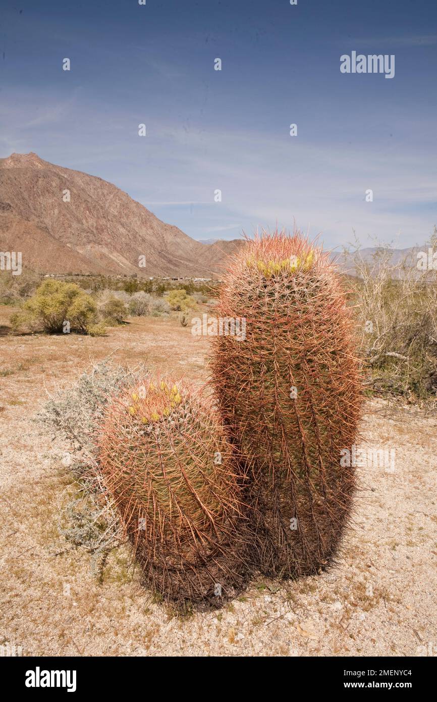 Badlands california hi-res stock photography and images - Alamy