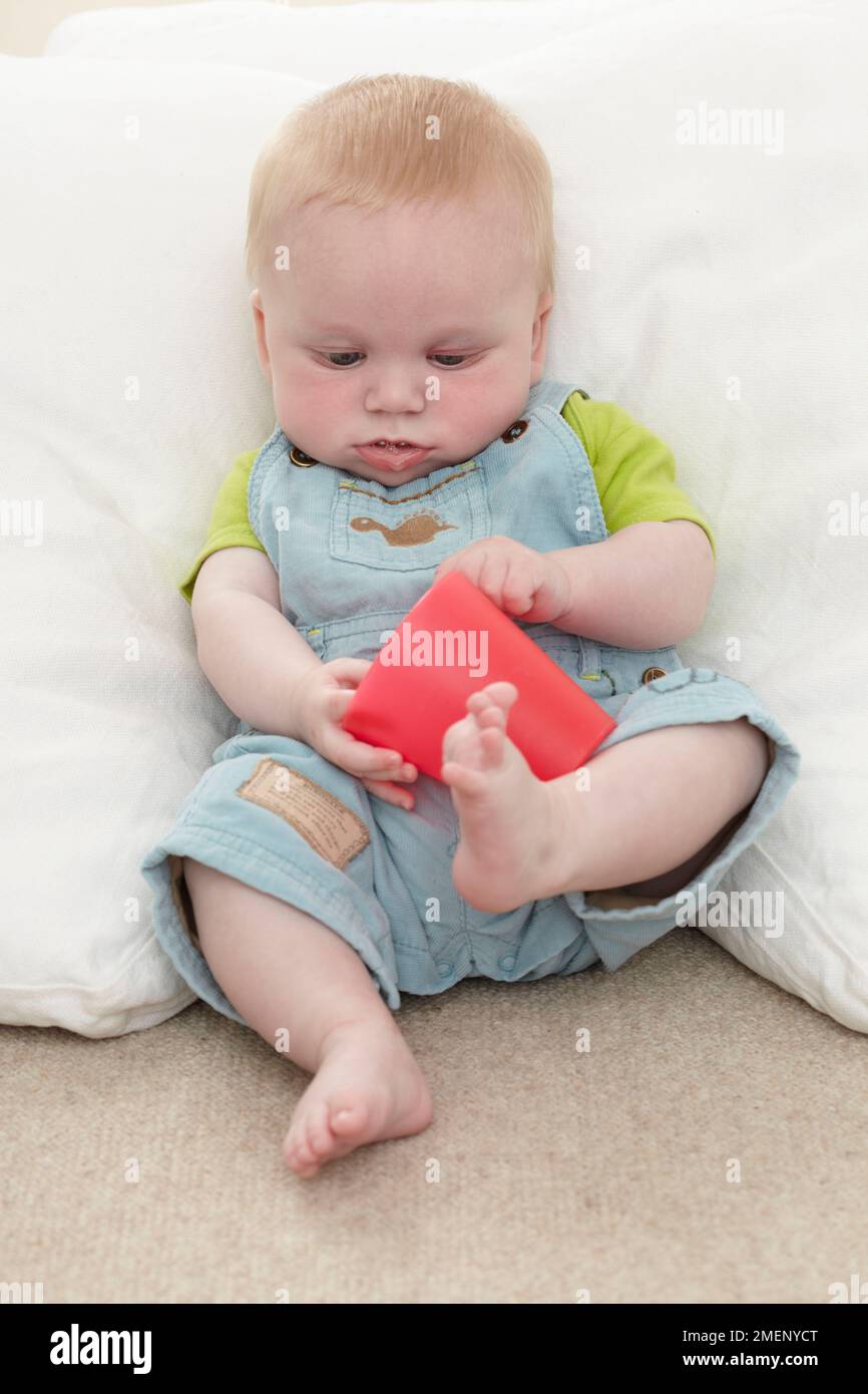 Baby boy (17 weeks) playing with plastic cup as he sits supported by ...