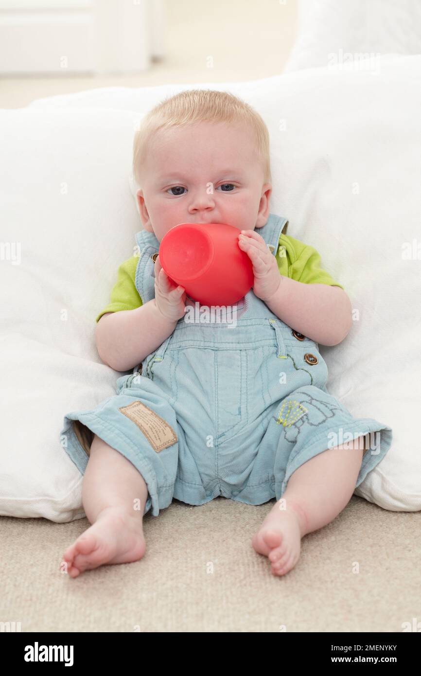 Baby boy (17 weeks) chewing plastic cup, front view Stock Photo - Alamy