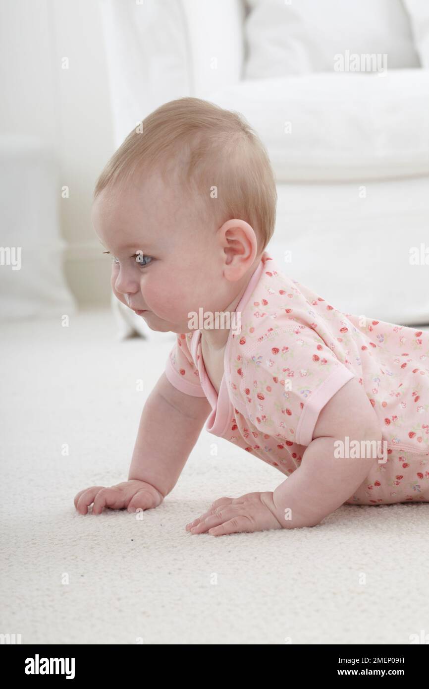 Baby girl (23 weeks) crawling on carpet, side view Stock Photo - Alamy