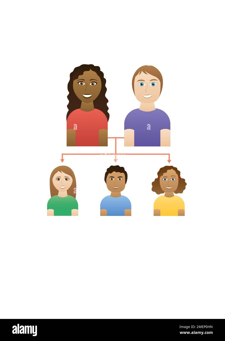 Genes illustration hi-res stock photography and images - Alamy