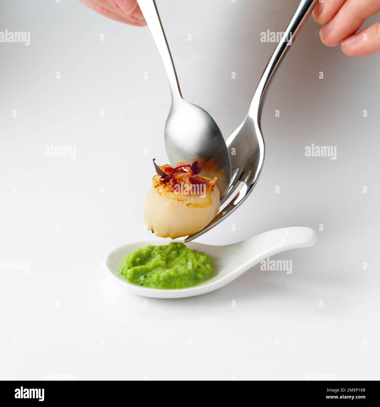 Loading a chinese spoon with mushy peas and scallop Stock Photo - Alamy